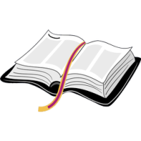 ️ REFLECTION CAPSULES – Feb 11, 2026: Wednesday – Reflection Capsules