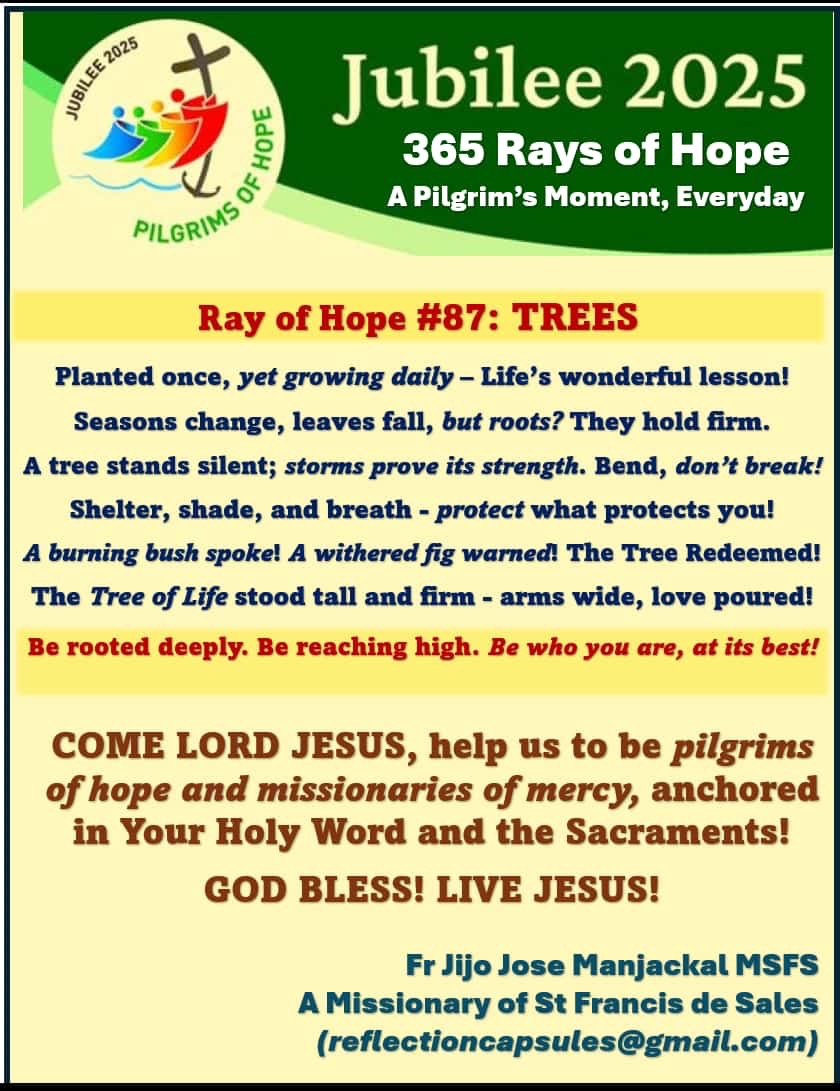 Rays of Hope #87 Trees – Reflection Capsules