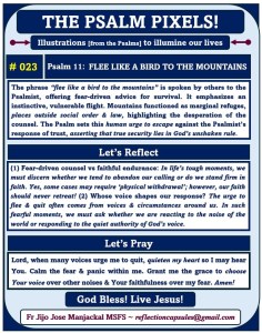 The Psalm Pixels! #023 – Reflection Capsules